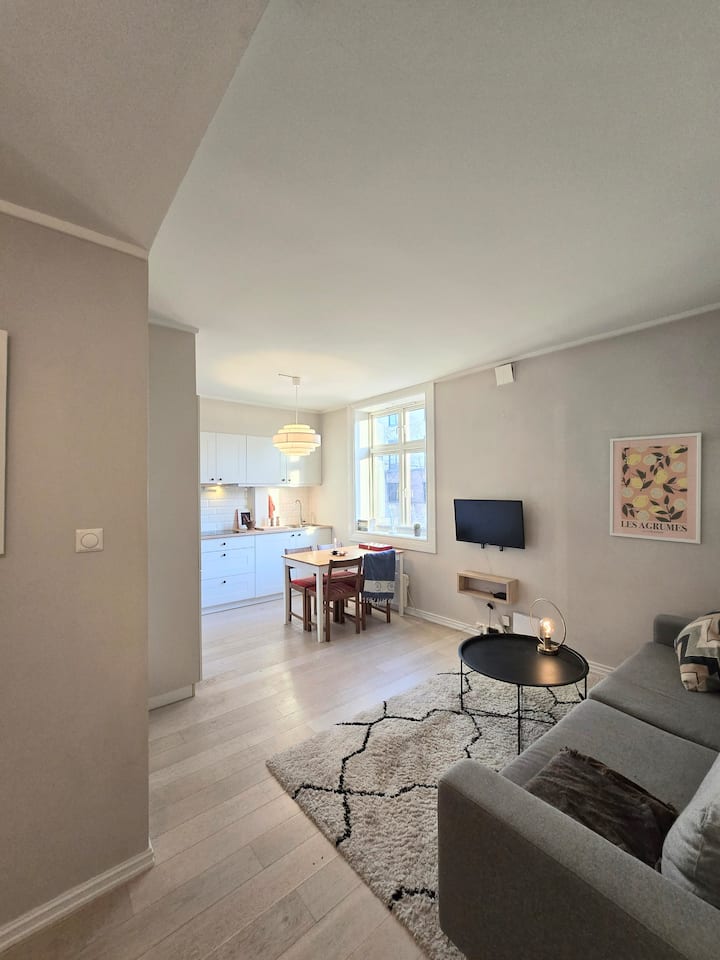 Koselig Leilighet På Grünerløkka - Oslo
