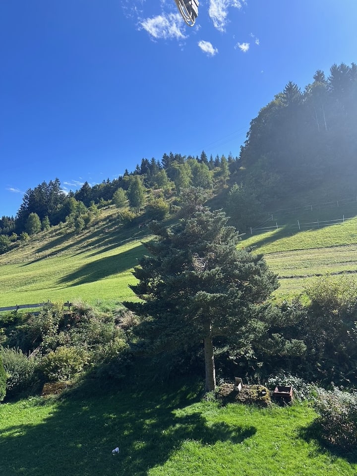 Stuiben - Immenstadt