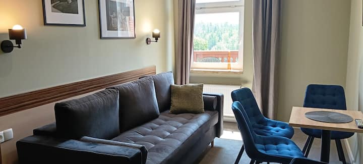 Apartament Nr. 6 W Willi Nimfa - Szklarska Poręba