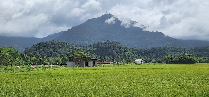 The Zain's, A Tiny Villa. - Langkawi