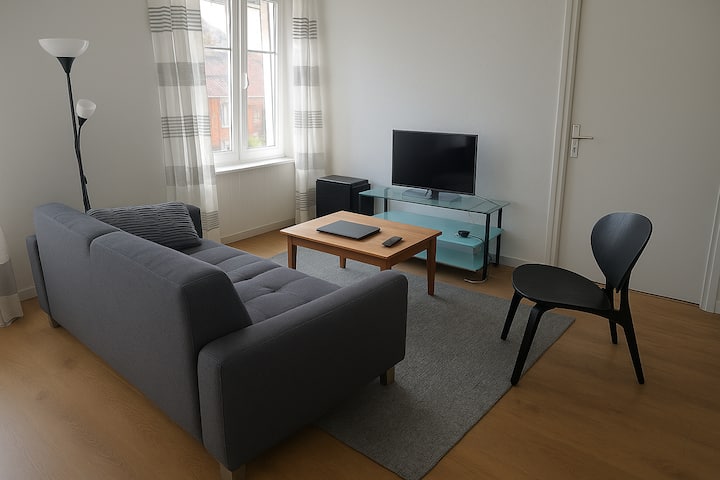 Appartement Cosy, Au Centre Ville De Ribeauvillé - Ribeauvillé