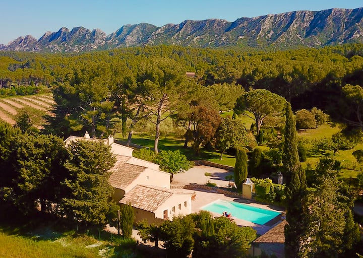 Mas D'exception
Parc Des Alpilles 
Vues Iconiques - Saint-Rémy-de-Provence