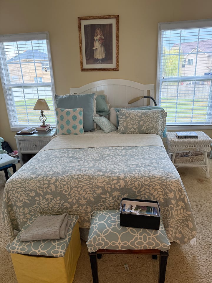 Nashville Cats - Clarksville, TN