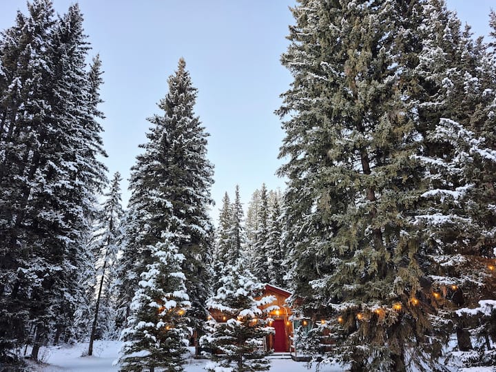 Secluded Romantic Cabin /Wood Stove. Feb Bonus. - Canada