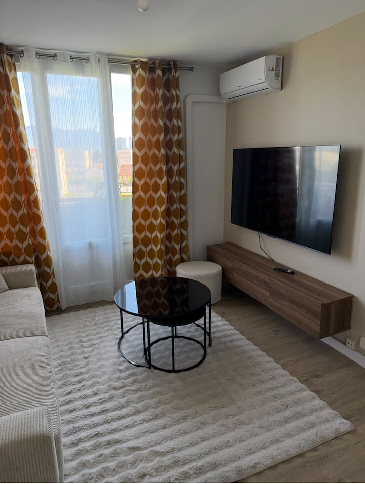 Appartement T3 Remis à Neuf Et Lumineux - Grenoble