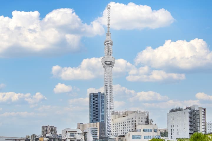 Skywind 東京スカイツリー徒歩6分&屋上絶景｜110㎡貸切浮世絵新築ヴィラ ・12名可・車庫有 - Asakusa