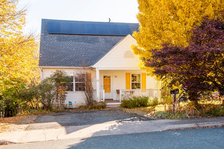 Colorful Artist’s Haven, 1 Mile To Downtown Mall - Charlottesville, VA