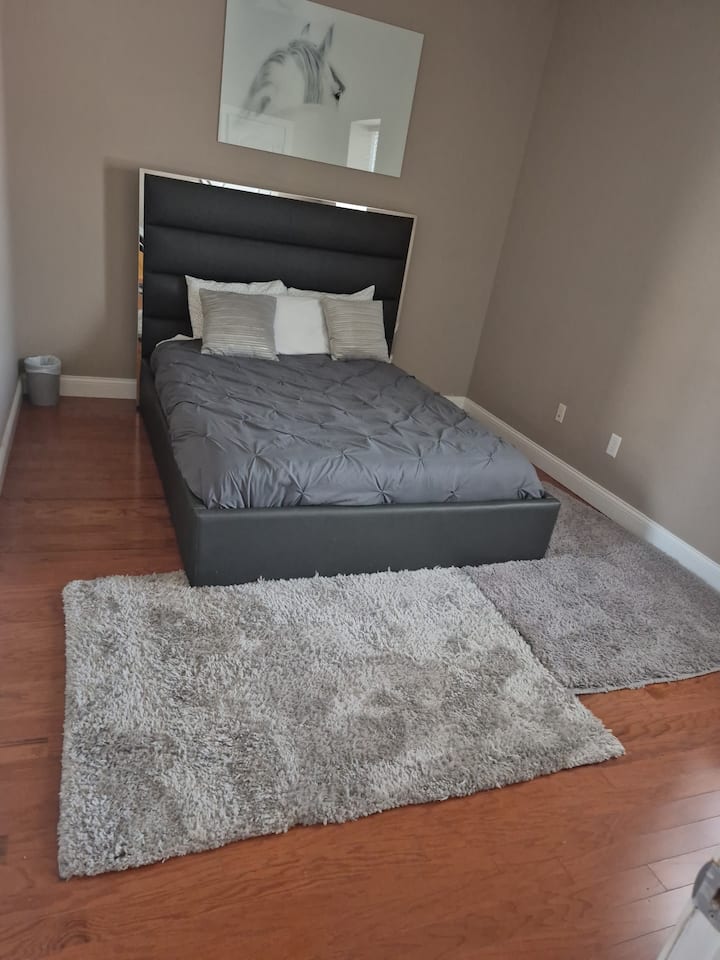 2bd/2bth Downtown Loft - Belleville, IL