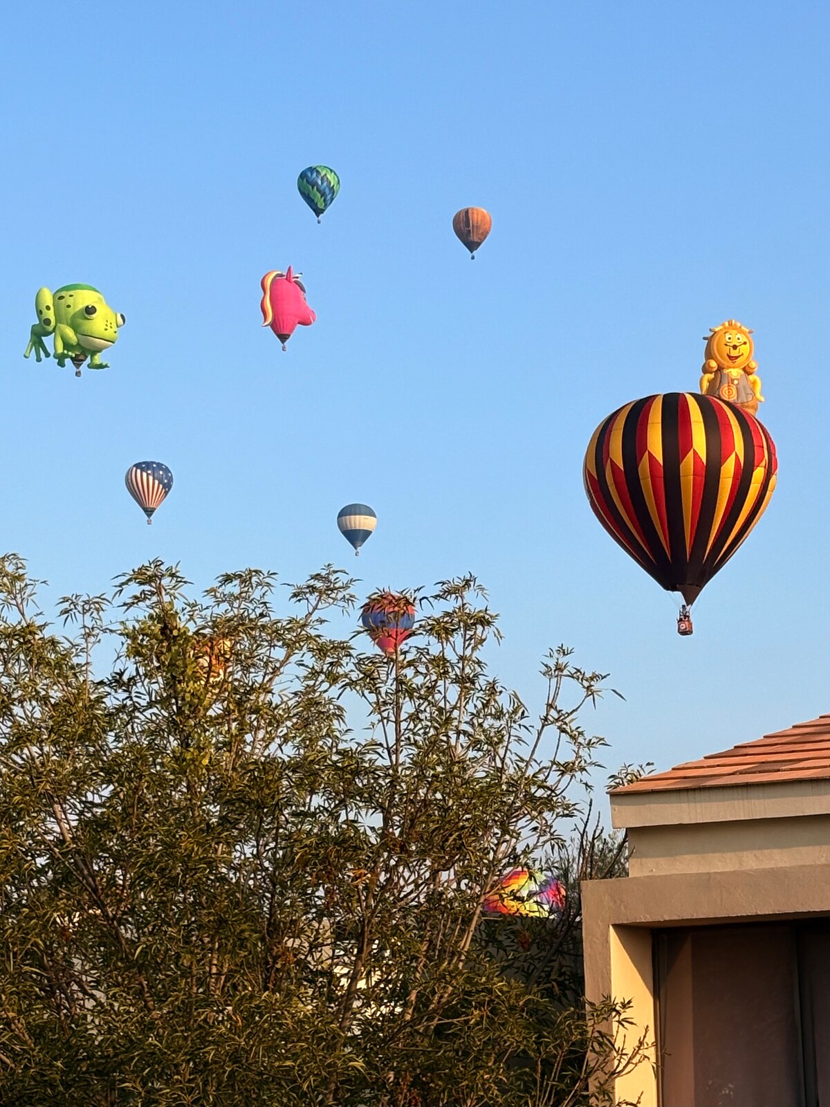 Your home in front of the Balloon Festival! - Airbnb
