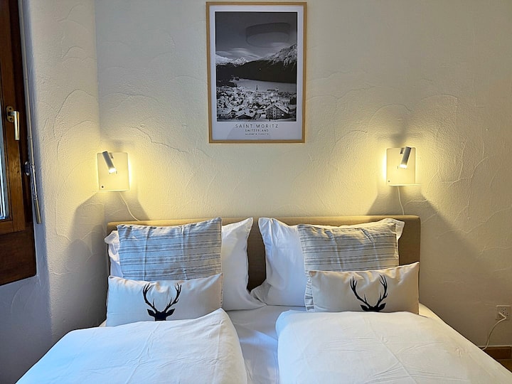 Central Oasis, Skiing, Mountains, Fun, 45m2, 2p-c8 - Saint Moritz