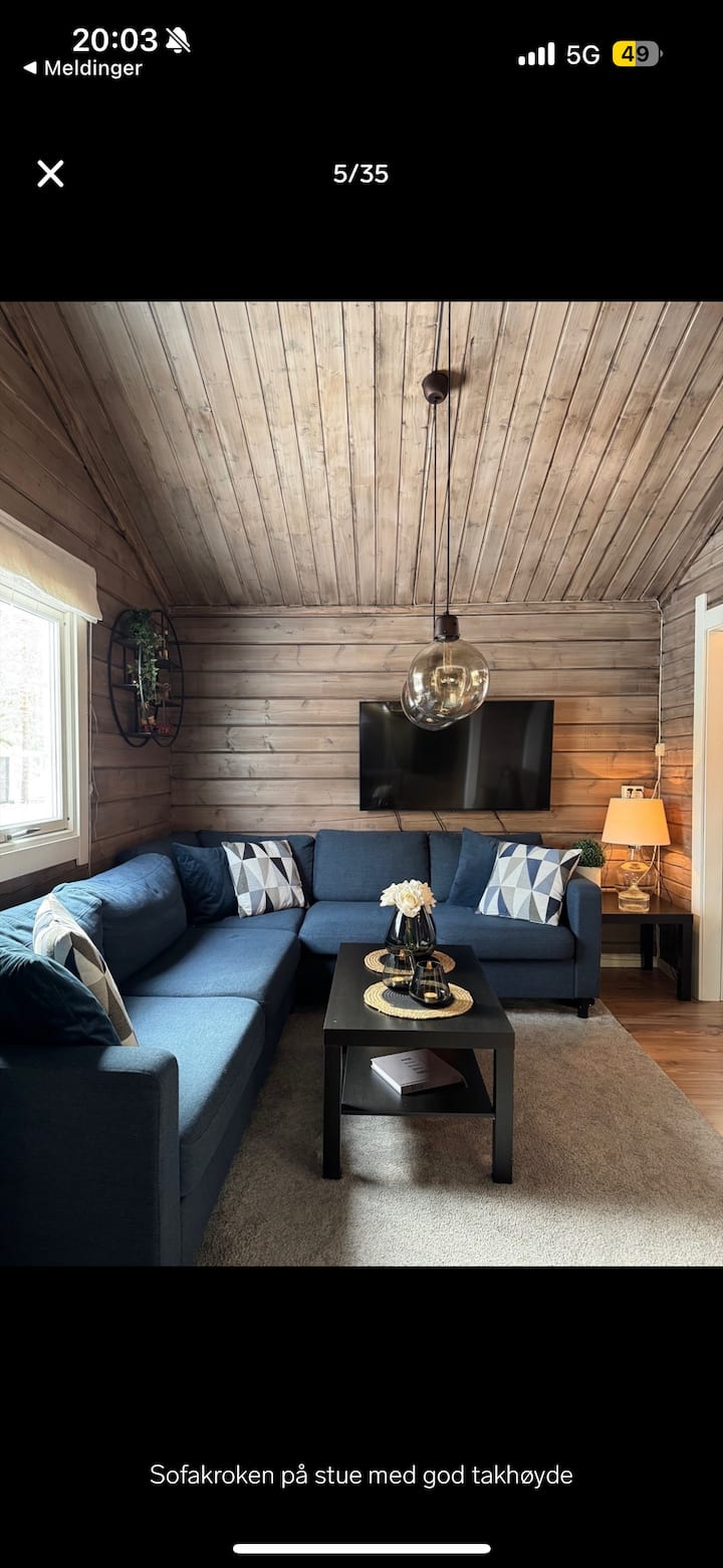 Koselig Hytte - Lesjaskog