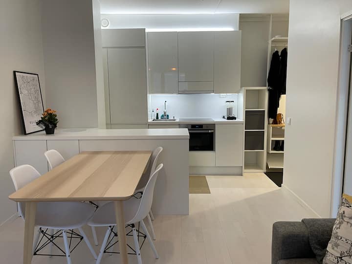 Kodikas Kalustettu Kaksio Meilahdessa - Helsinki