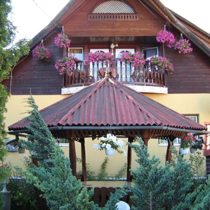 Pensiunea Dorina - Praid