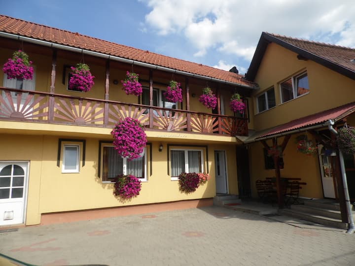 Pensiunea Dorina - Praid