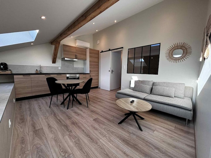 Appartement Cosy Une Chambre - Moirans