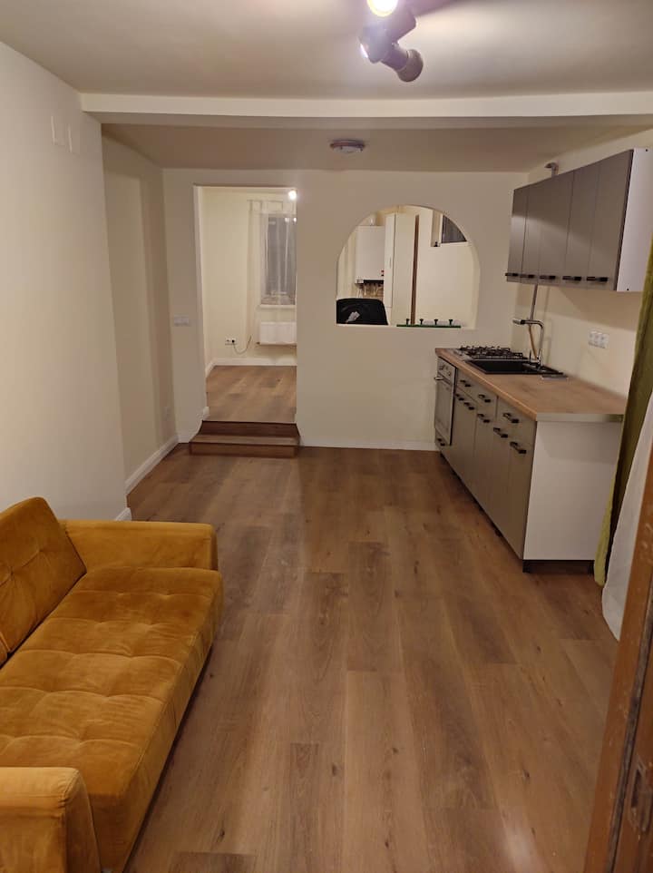 Appartement Près Du Parc Central Avec Jardin Privé - Cluj-Napoca