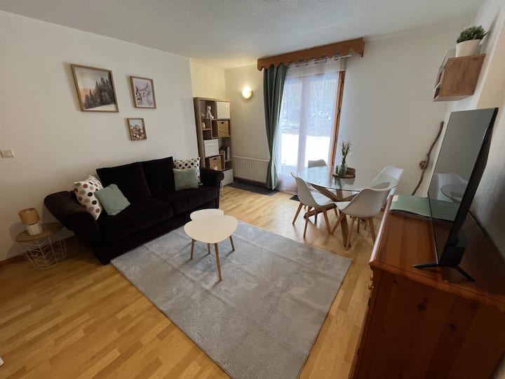 Studio Spacieux-4 Couchages-résidence Avec Piscine - Samoëns