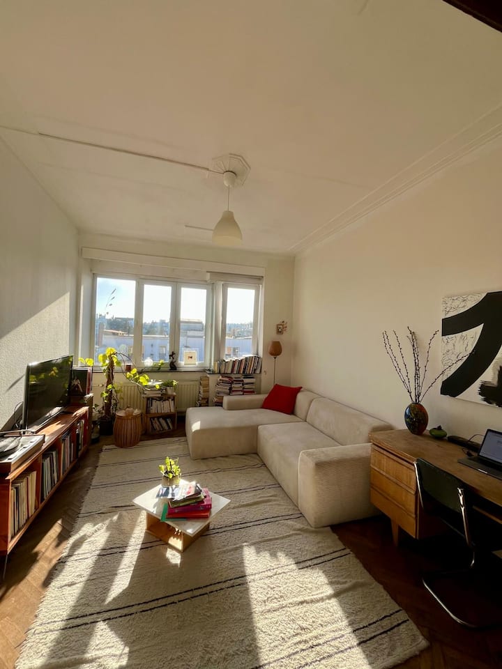 Cosy Top-floor Appartment In Brussels - Regione Bruxelles, Belgio