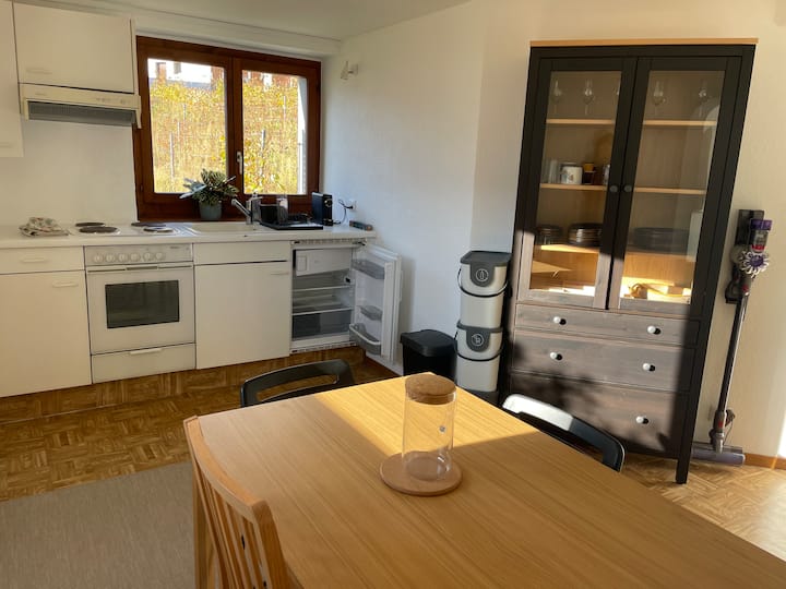 Studio Pour 1 Ou 2 Personne Avec Vue Imprenable - Martigny