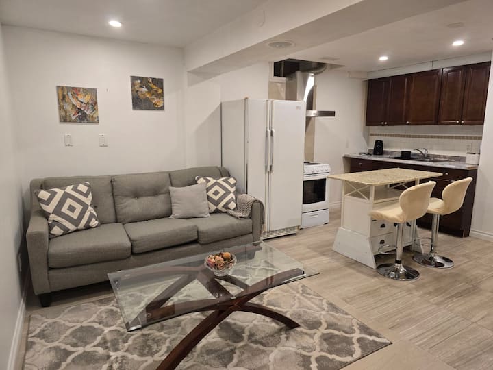 Cozy Basement Suite At The Heart Of Richmond Hil - Toronto