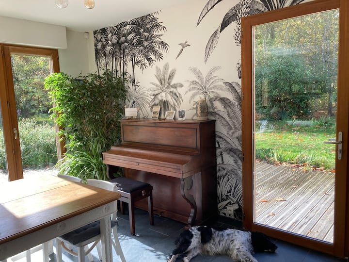 Maison En Forêt De Sologne - Lamotte-Beuvron