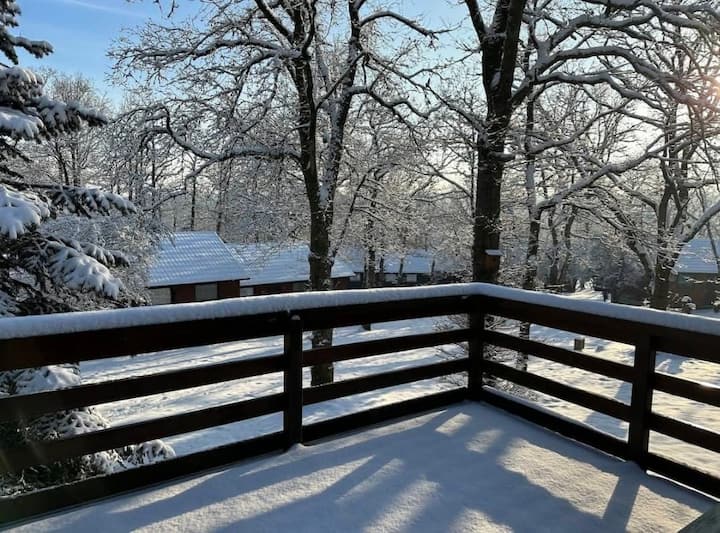 Bienvenue Au Soixante Et Pins. Charmant Chalet 6p. - Somme-Leuze