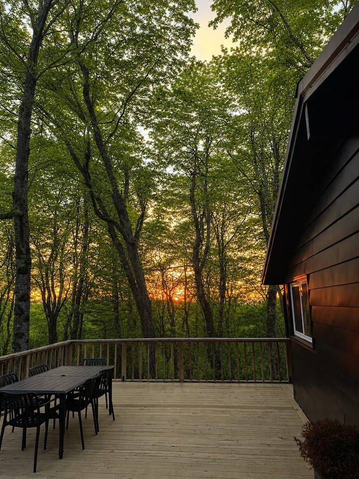 Luxury Wellness Cabin / Hot Tub + Views - Boone