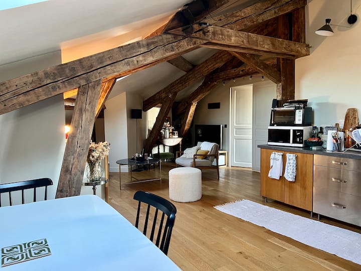 Nid Douillet Sous Les Toits Bourguignons - Dijon