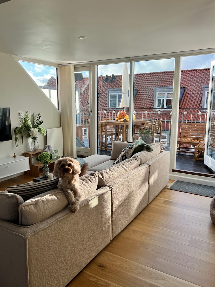Penthouse Med Fantastisk Lysindfald - Aarhus