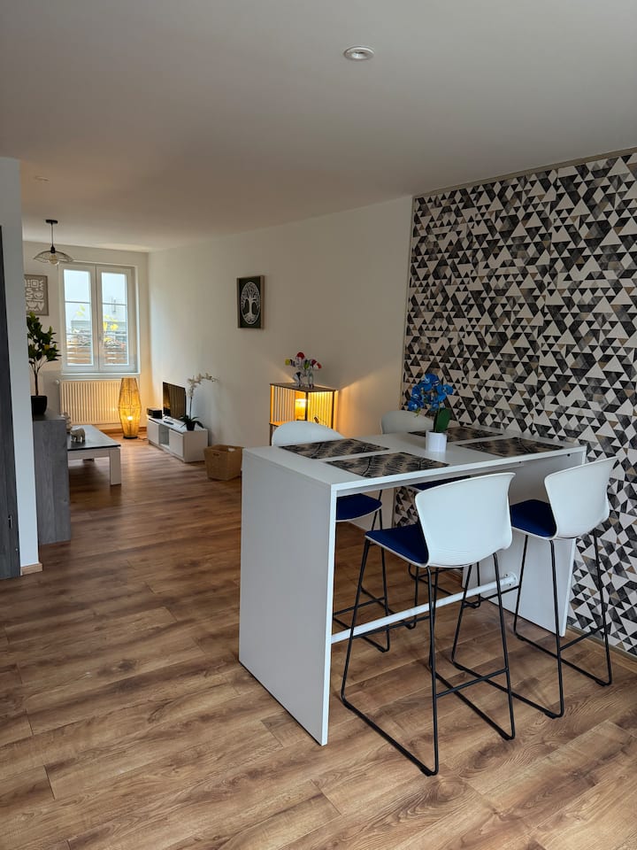 Appartement De Standing En Duplex Quartier Calme - Bischheim