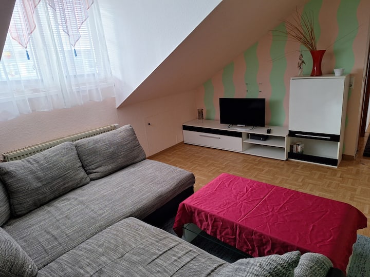 Gemütliche Dg Wohnung, Auch Für Hunde - Göppingen