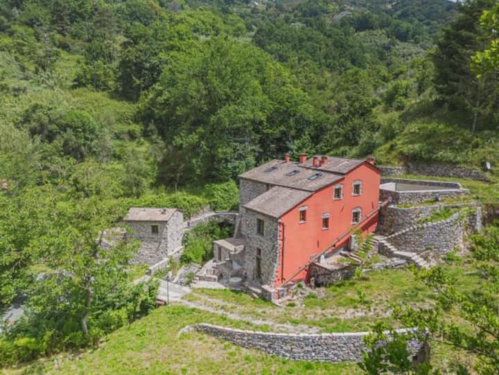 Mulino Lavaggini- Ciliegiolo - Deiva Marina
