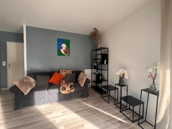 *L'escale*orly*proche Paris*parking Privé* - Charenton-le-Pont