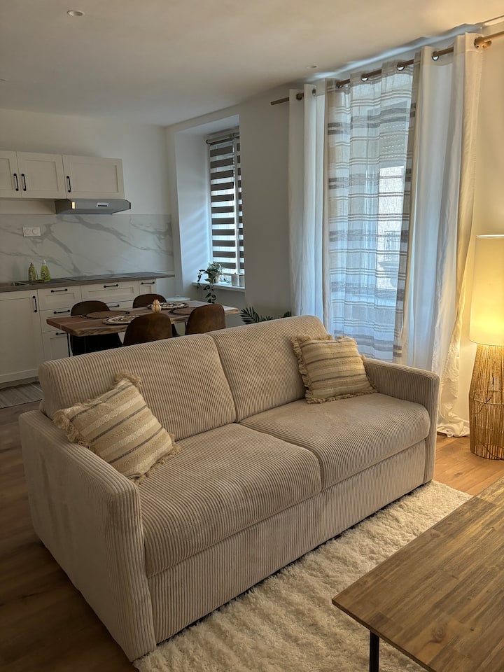 Calme & Cosy – T2 45m² Mulhouse Centre - Mulhouse
