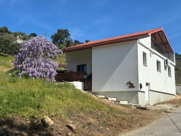 Casa Vilariça - Mirandela