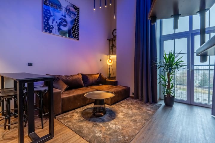Soho Gallery Loft 437 - Lithuania