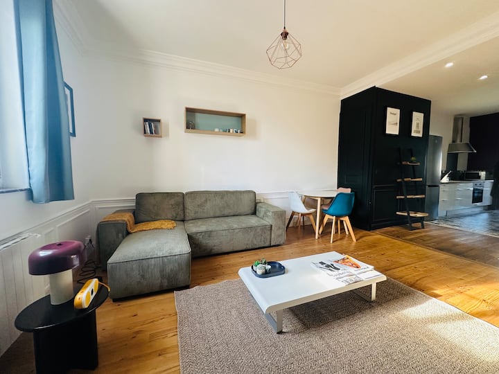 Appartement Lumineux & Design – Cœur De Reims - ibis budget Reims Thillois