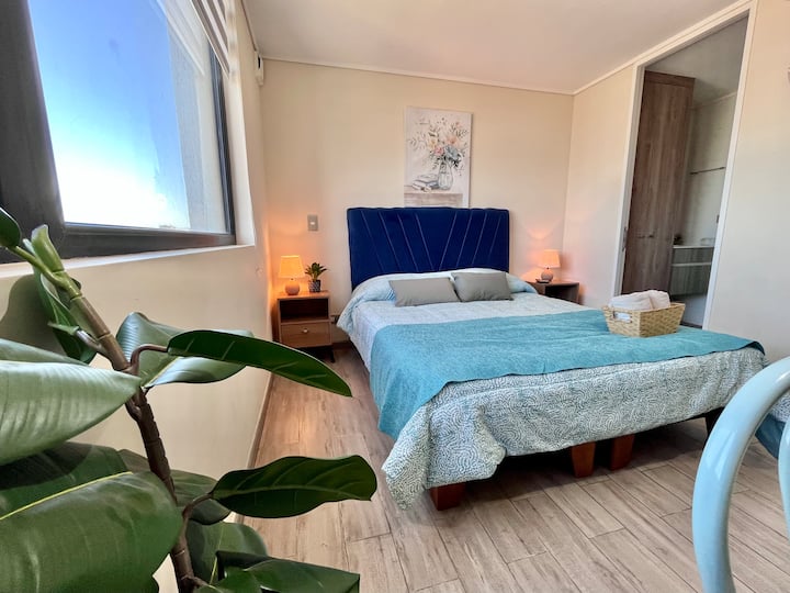 Hermoso+ Centro+ Piso 9+ Wifi+ Tv - Chillan