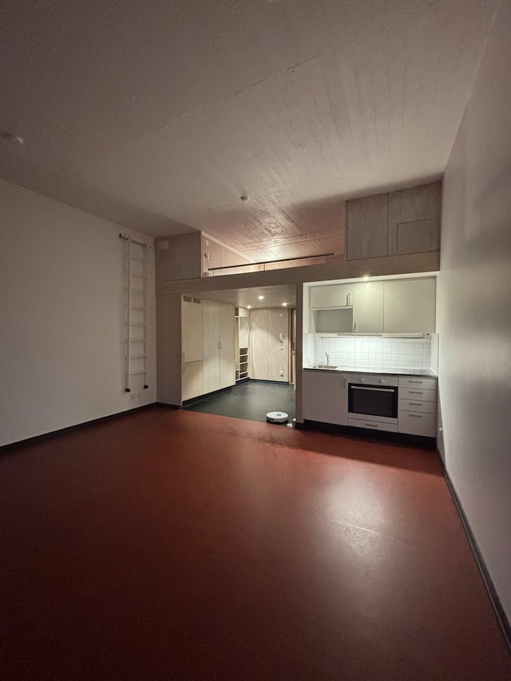 33 Kvm 1:a Med Loft, Centralt Vid Fridhemsplan - Stockholm