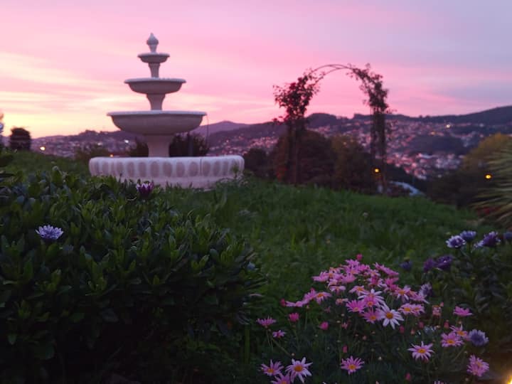 Coqueto Piso En Vigo Con Vistas - Vigo