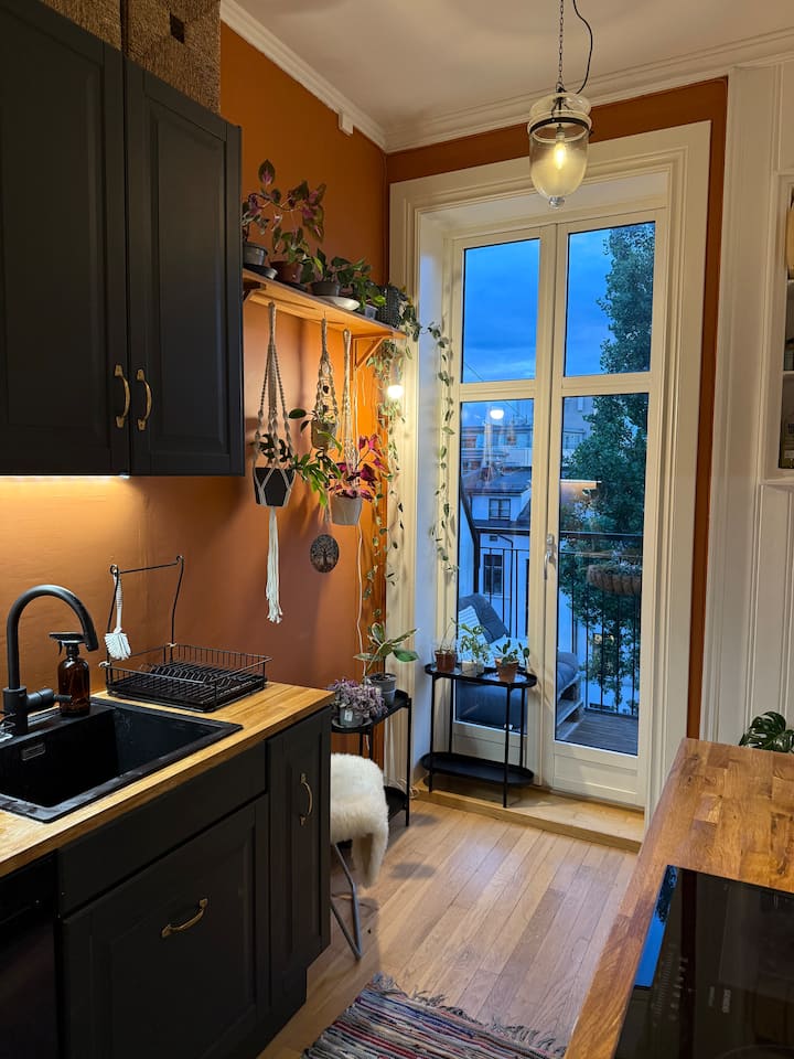 Classic Central Oslo Flat With Balcony - Oslo