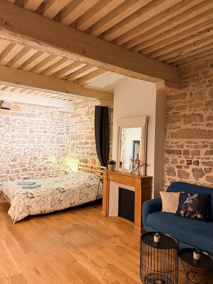 Le Cosy Pierre Scize - Lyon