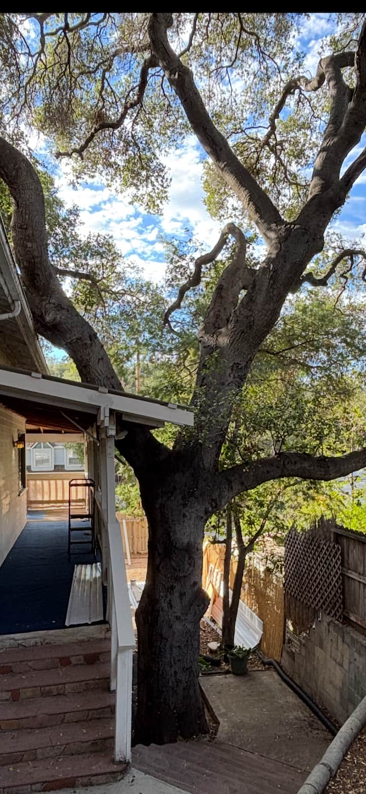 Bicycle Vacation
 Near Ojai - 
Casa De Oak View - Ojai, CA
