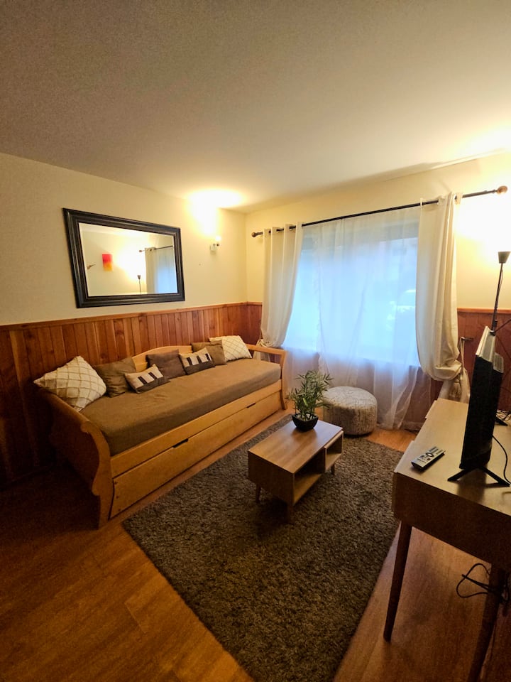 Lindo Y Relajante Departamento En Pucón - Pucon