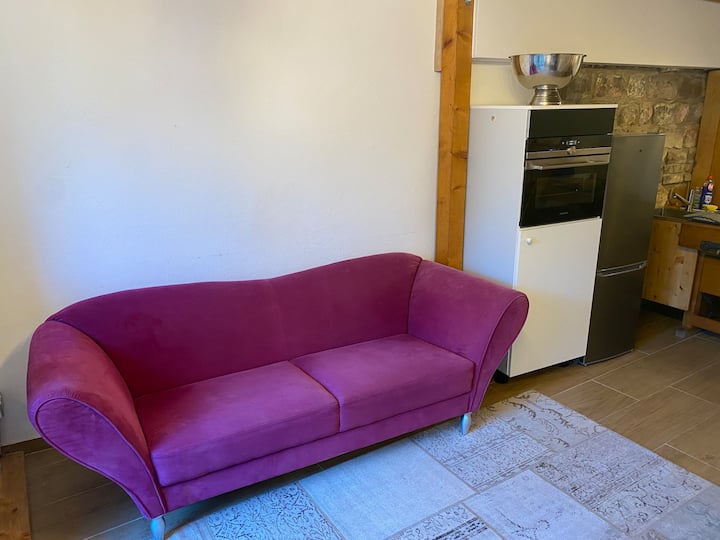 App. Charmant, Petit, Calme, Situé En Centre. - Heidelberg