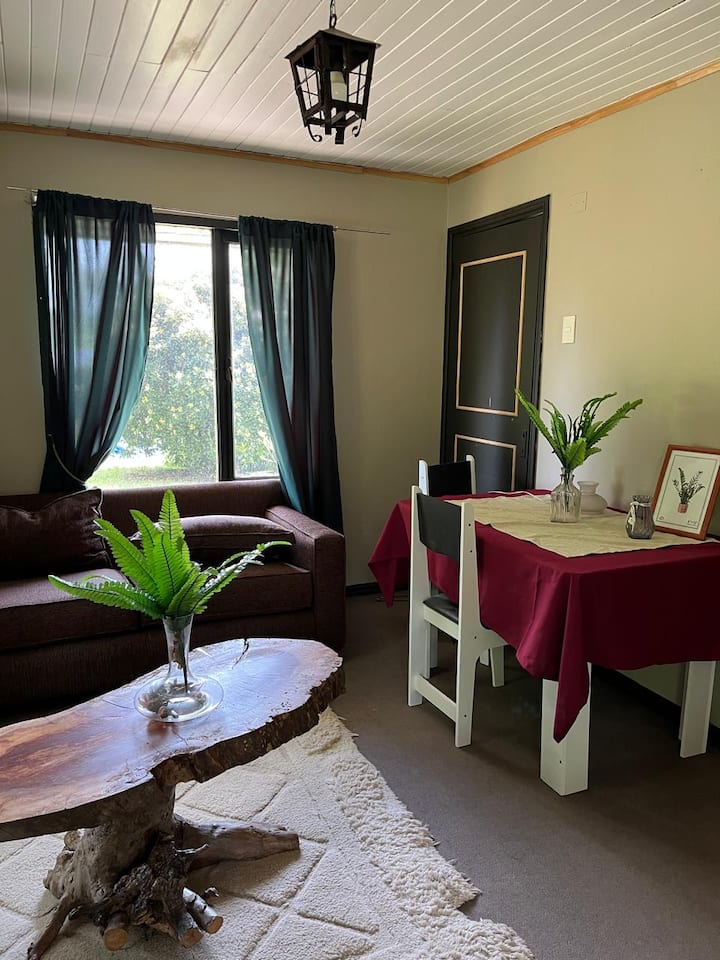 Departamento En Panguipulli - Panguipulli