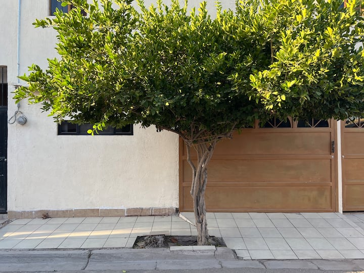 La Casa Del Limón
Gómez Palacio Dgo. - Gomez Palacio