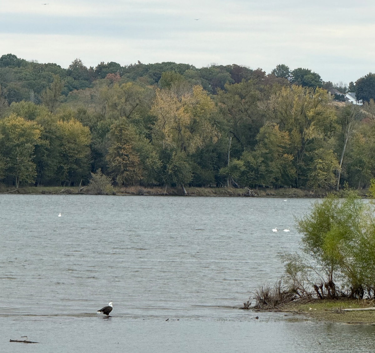 Cabaña frente al río Mississippi • Relájate y desconecta - Cabañas en ...