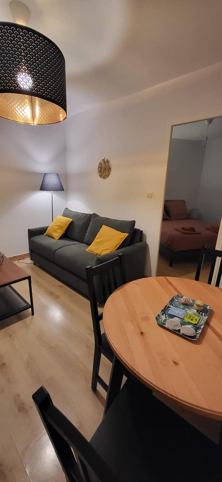 Monge Côté Cour - Au Calme Face à La Place Zola - Dijon