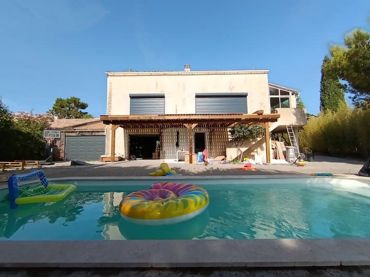 Les Flamants Roses, Mas Du Lion ! - Vitrolles